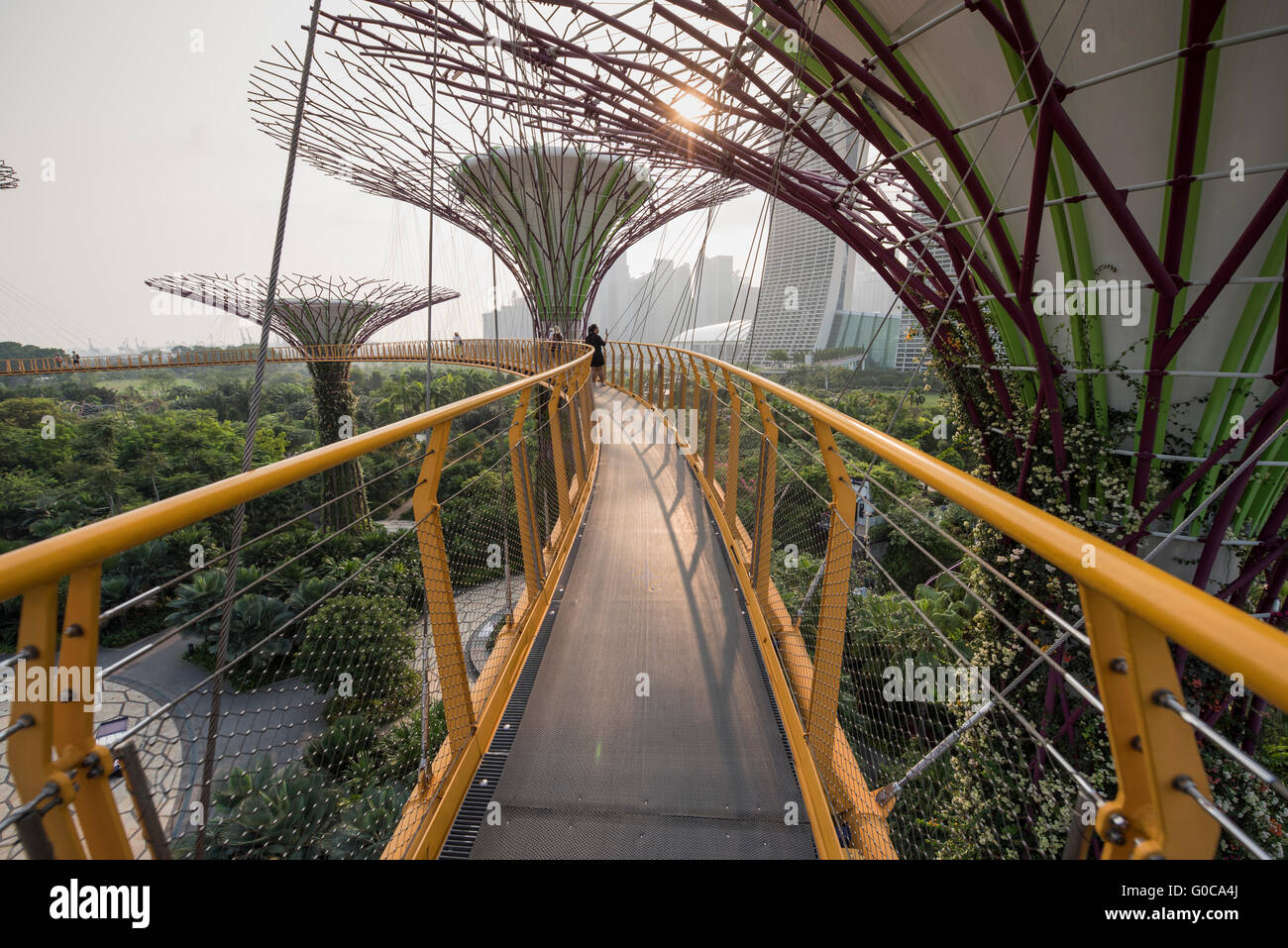 Suspended Walkway between the Super Trees in Gardens by the Bay Nature ...