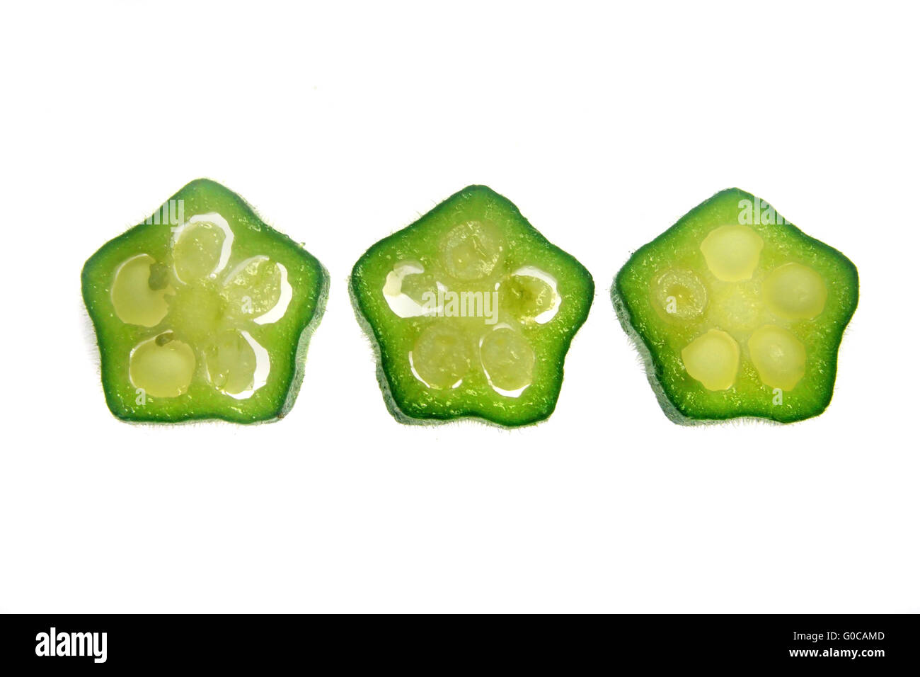 Cross section of Abelmoschus esculentus, Lady Finger Stock Photo - Alamy