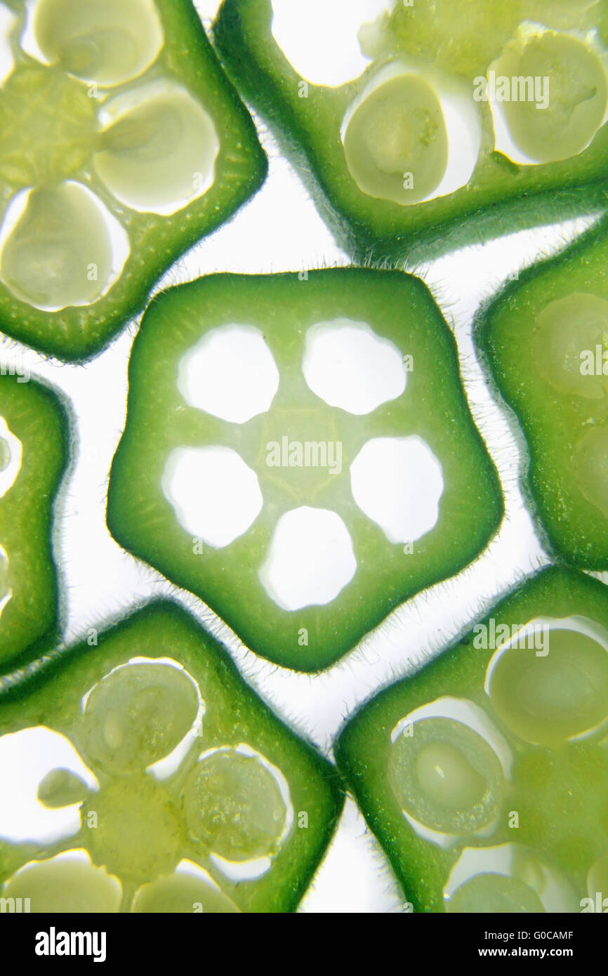 Cross section of Abelmoschus esculentus, Lady Finger Stock Photo - Alamy