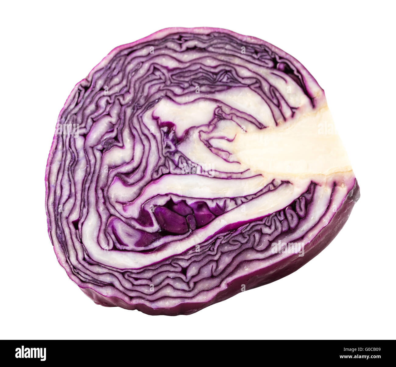 fresh blue cabbage isolated on white background Stock Photo - Alamy