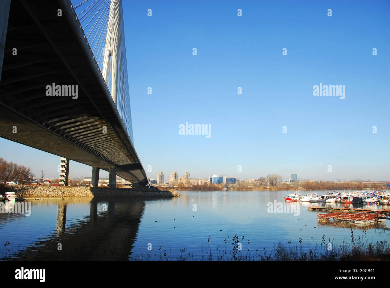 Ada bridge tower in Belgrade, Serbia Stock Photo - Alamy