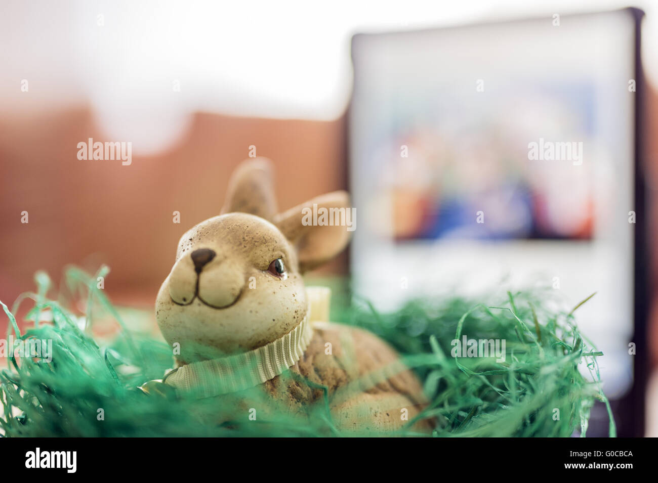 Bunny sitting hi-res stock photography and images - Alamy