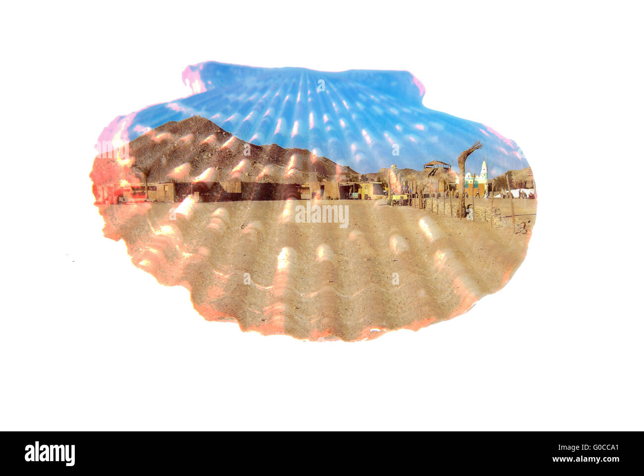 double exposure seashell with desert Stock Photo - Alamy
