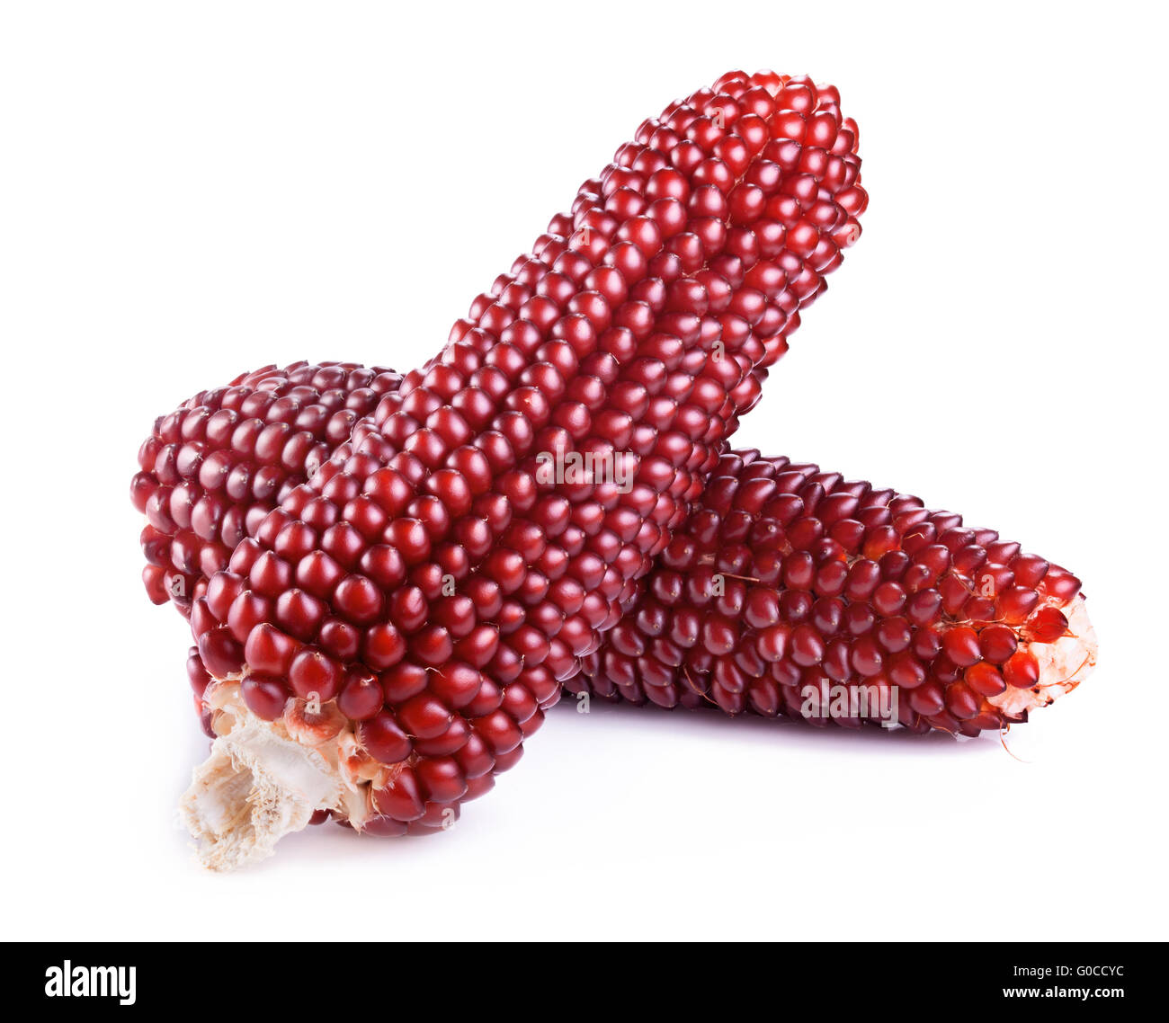 Native american corn crop Cut Out Stock Images & Pictures - Alamy
