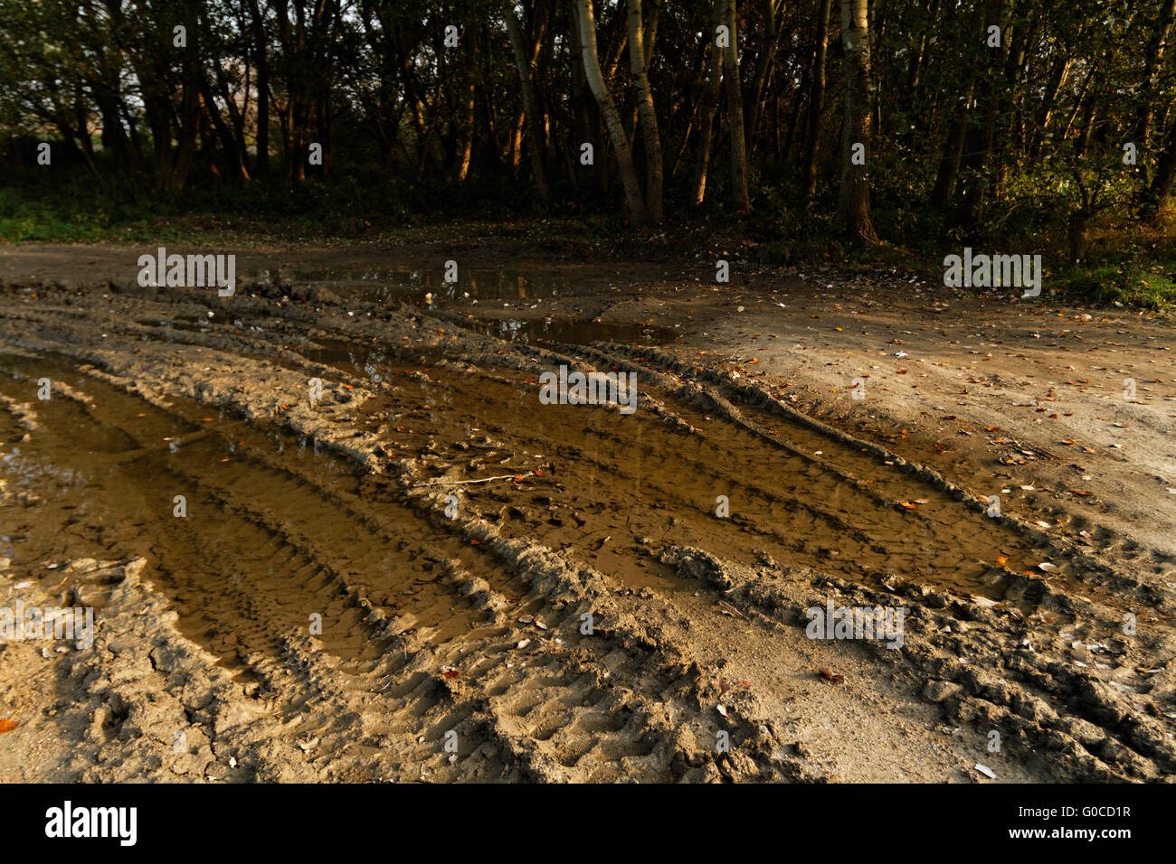 Dirty broken rural road with deep tire tracks Stock Photo - Alamy