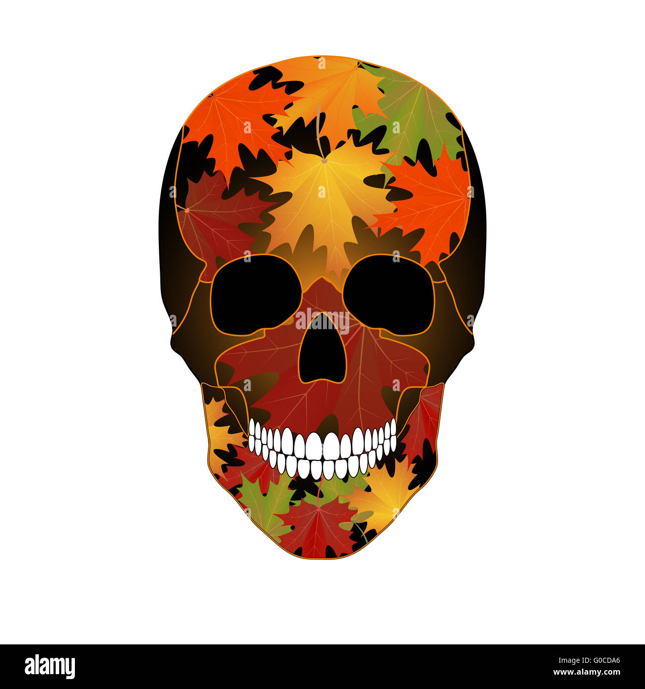 Vector illustration of colored skull Stock Photo - Alamy