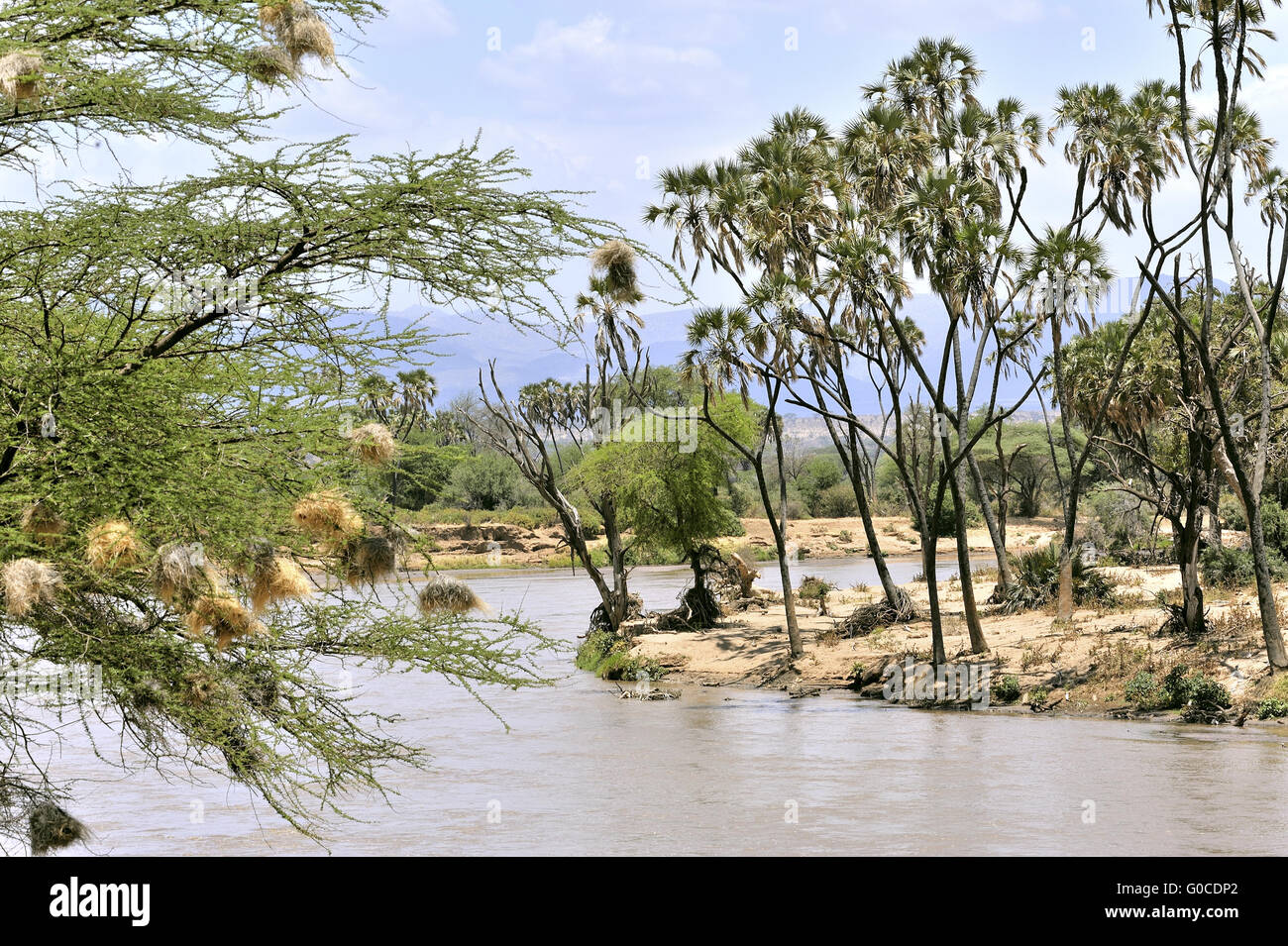 Buffalo springs hi-res stock photography and images - Alamy