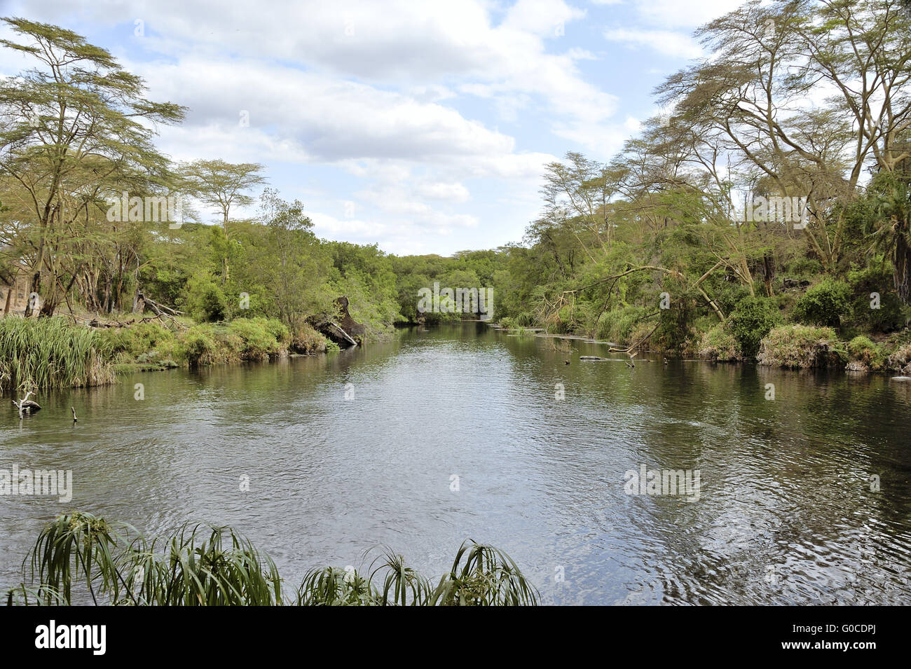The Landscape of Mzima Springs in Tsavo West Stock Photo - Alamy