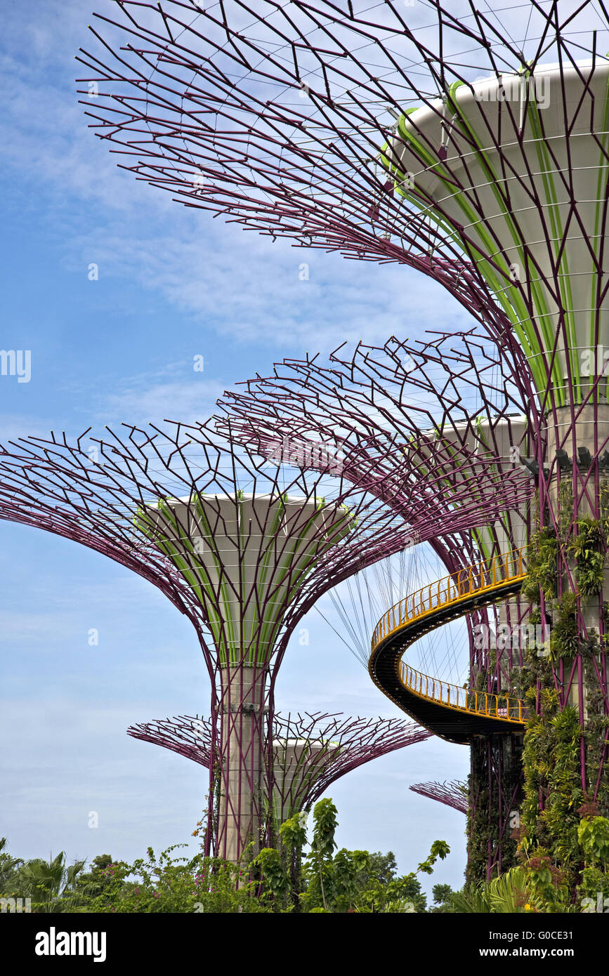 Singapur supertree hi-res stock photography and images - Alamy