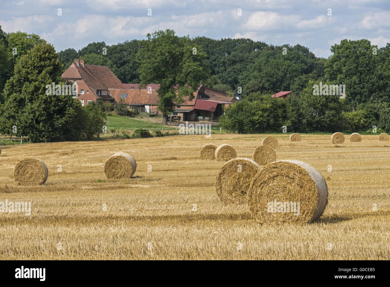 Yield farming hi-res stock photography and images - Alamy