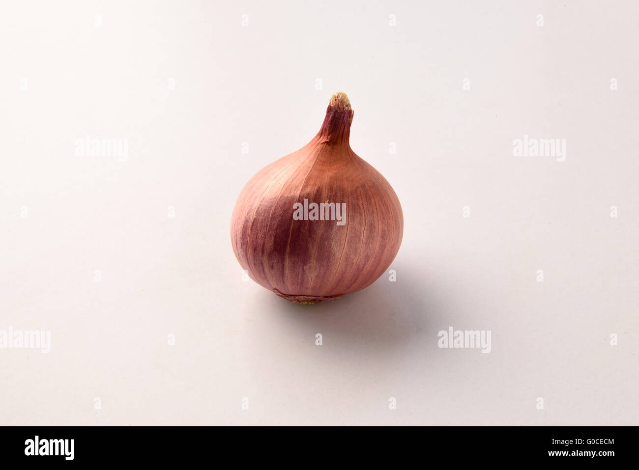 Onion isolated closeup hi-res stock photography and images - Alamy