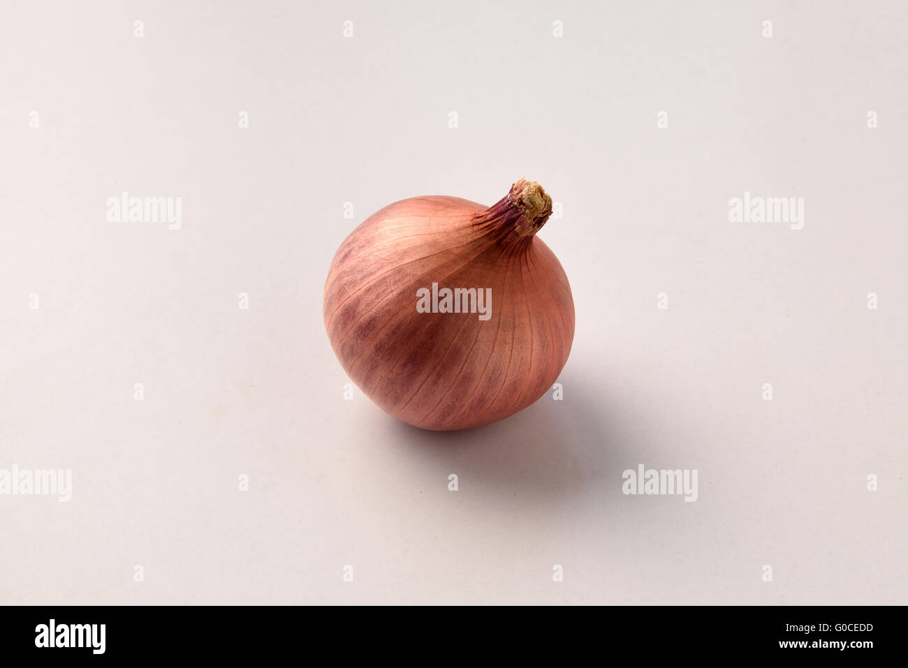 Onion on white background Stock Photo - Alamy