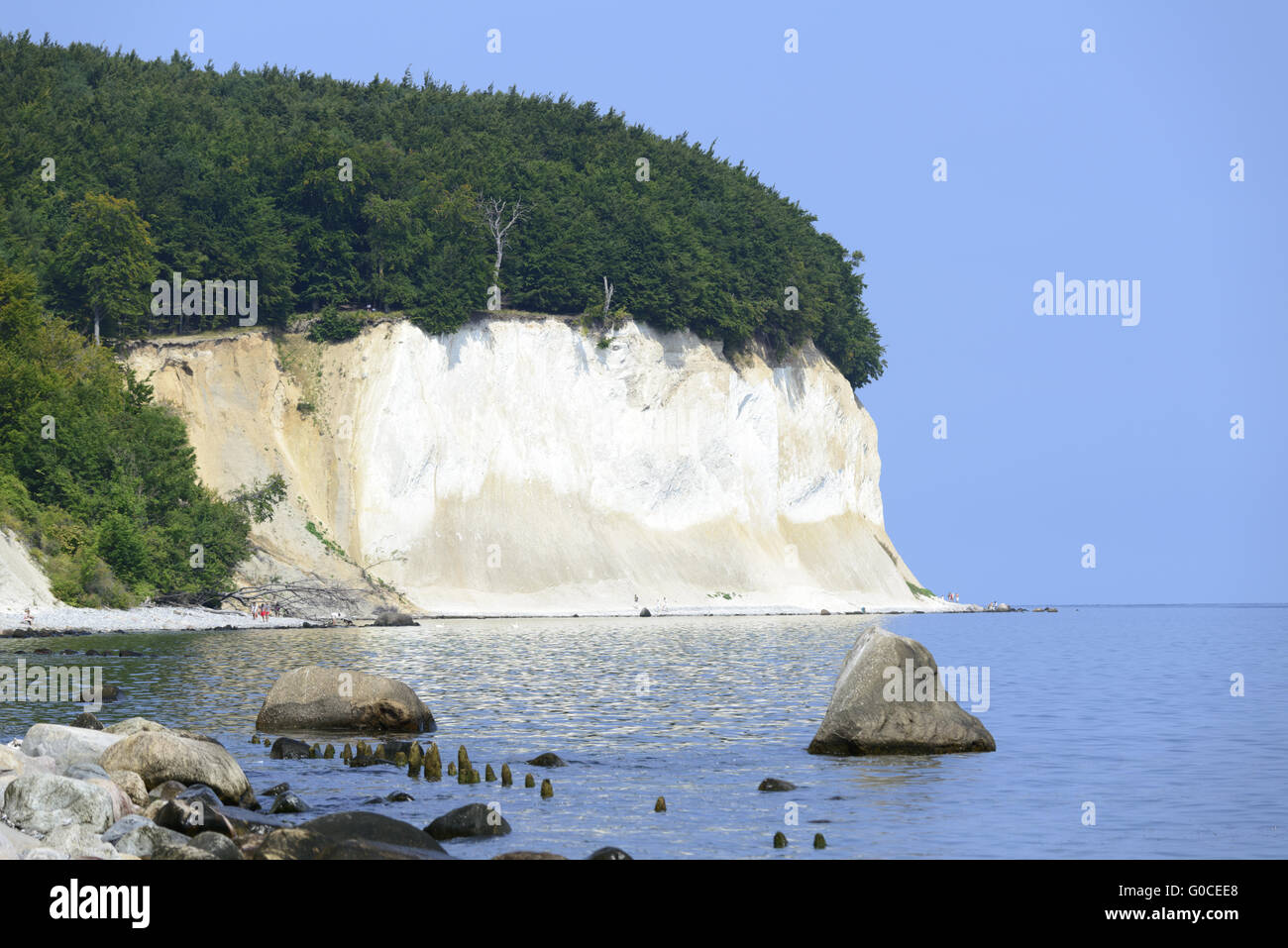 Chalk Cliffs of Rügen (Germany Stock Photo - Alamy