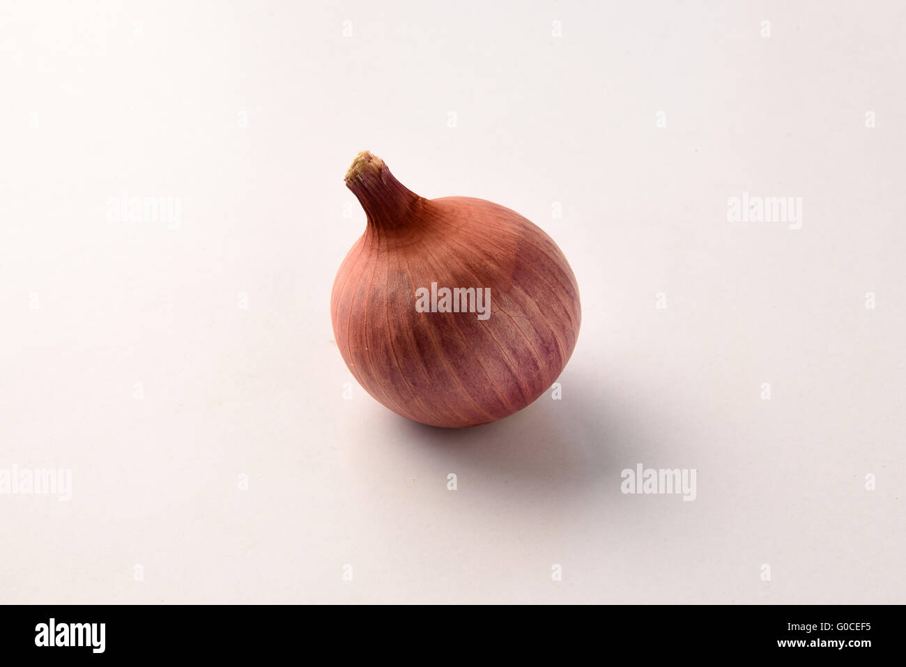 Onion spice hi-res stock photography and images - Alamy