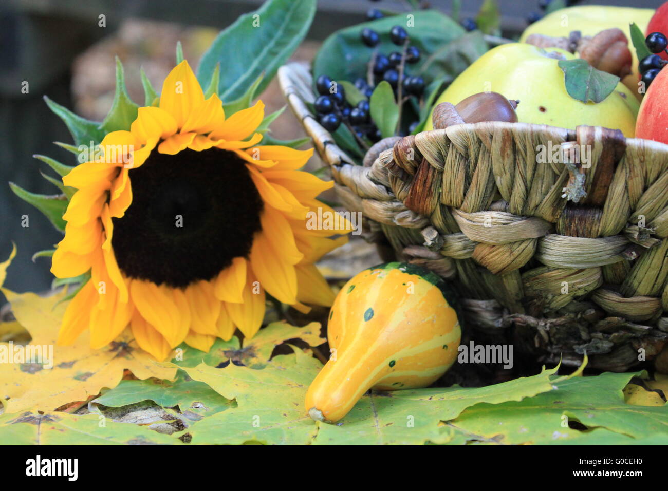 Spirit symbol hi-res stock photography and images - Alamy