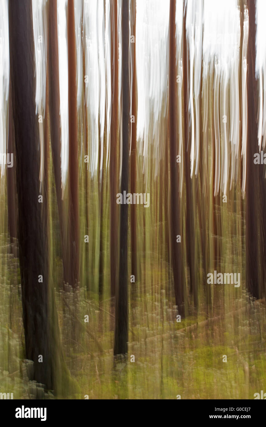 Blurred Trees 015 Stock Photo - Alamy