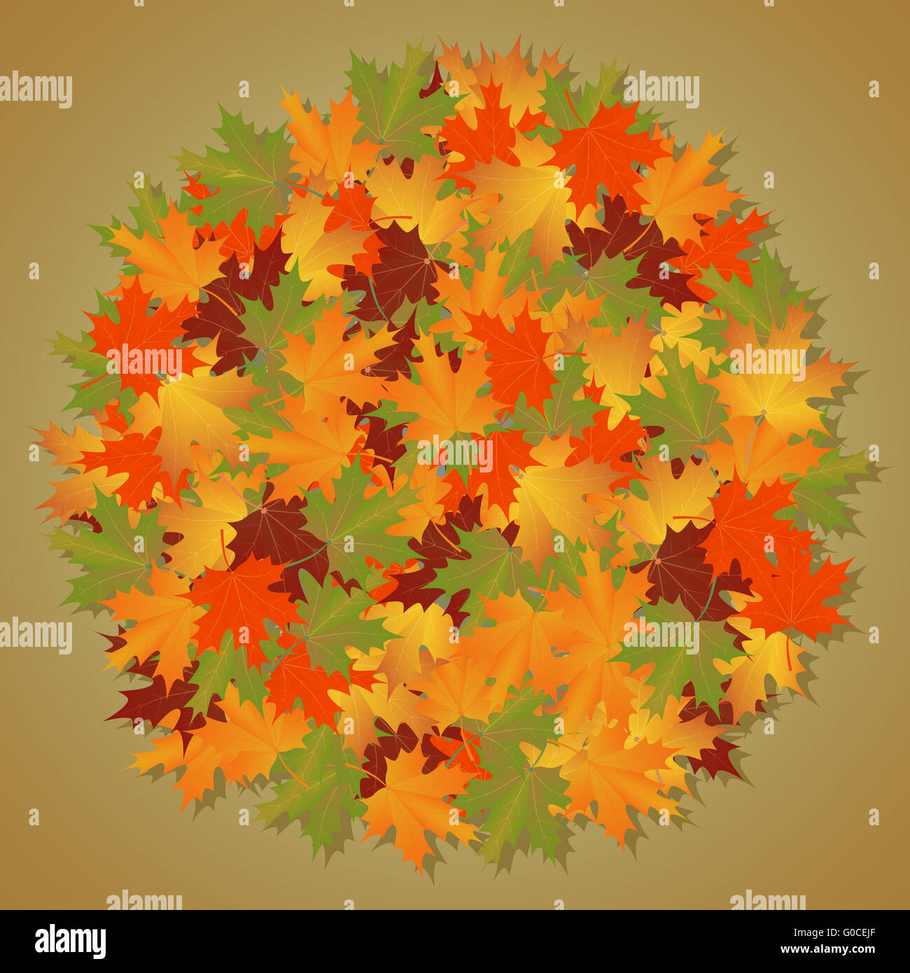 autumn background of leaves round maple Stock Photo - Alamy