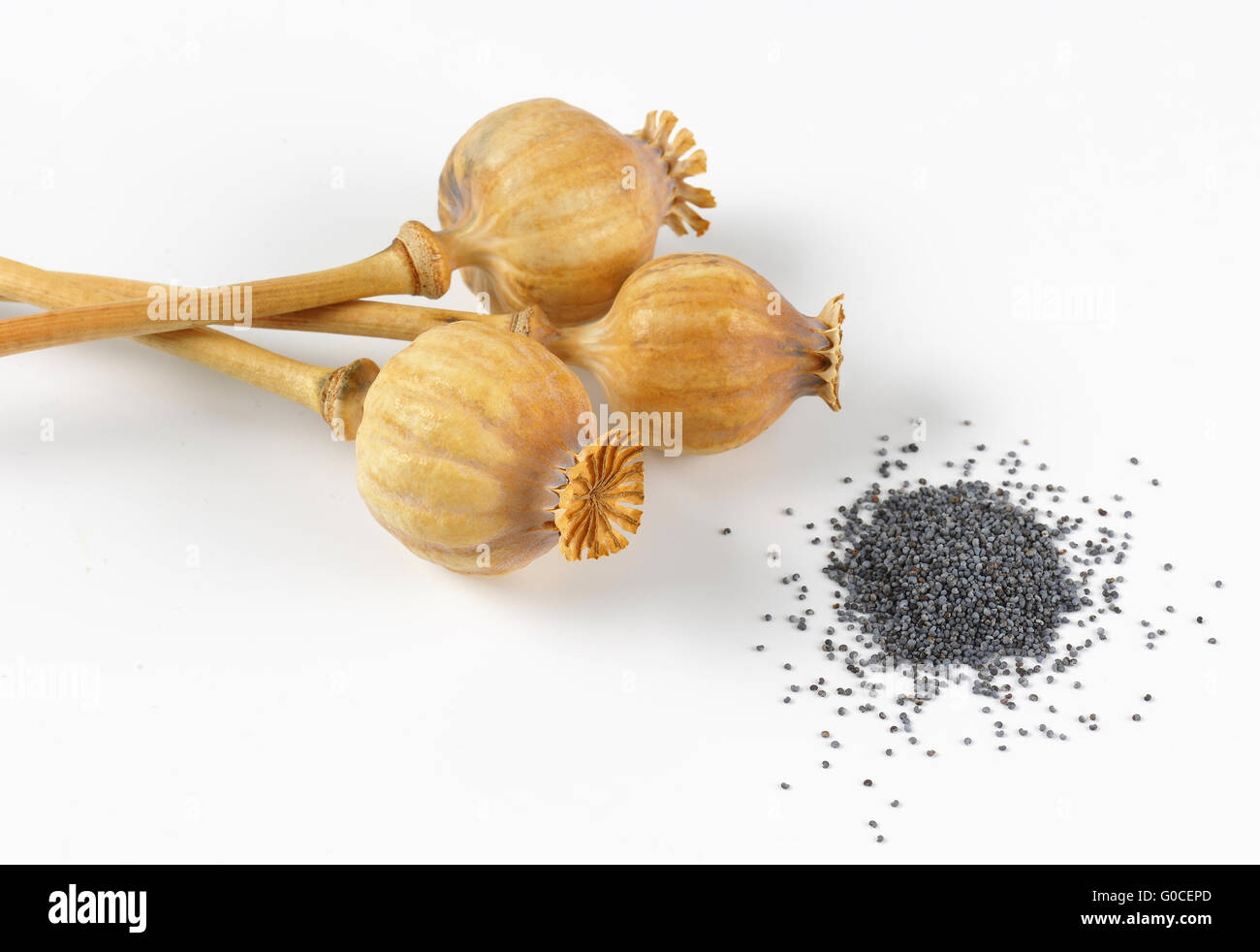 three poppy heads and poppy seeds on white background Stock Photo - Alamy