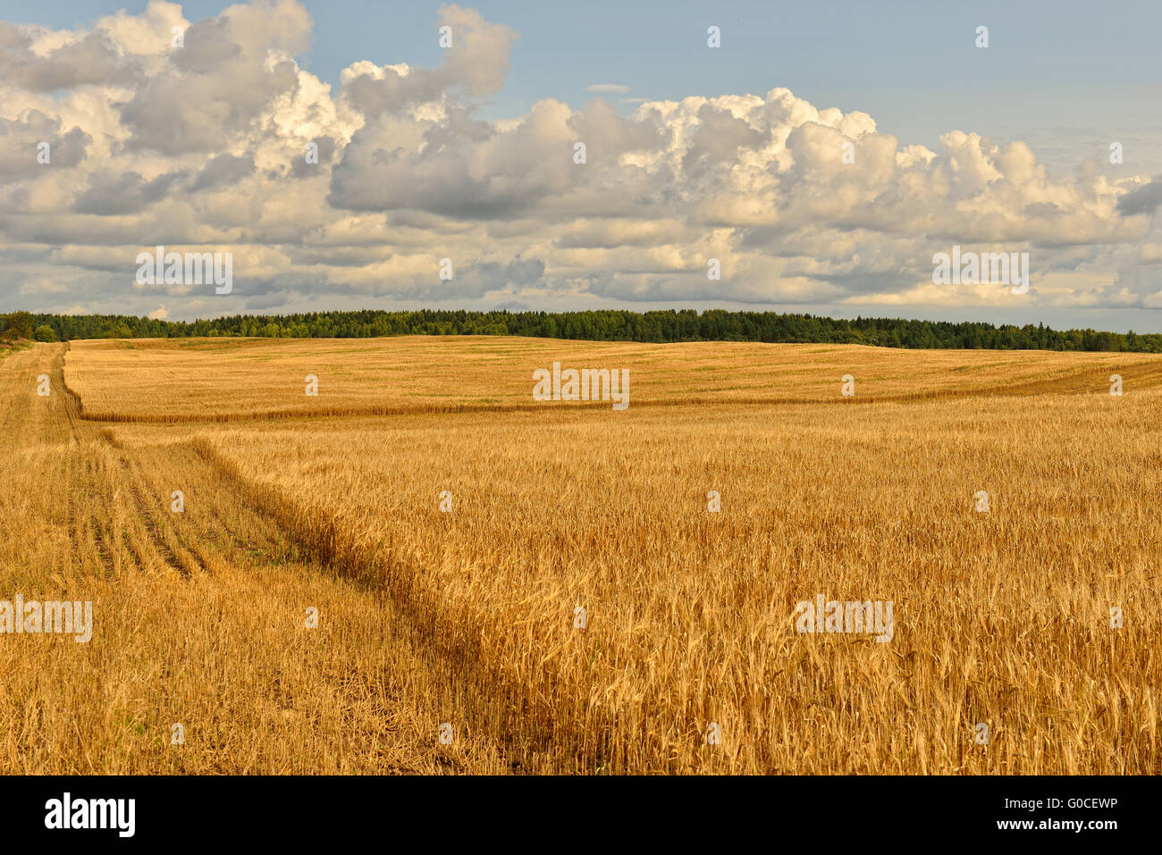 Russia landscapes hi-res stock photography and images - Alamy
