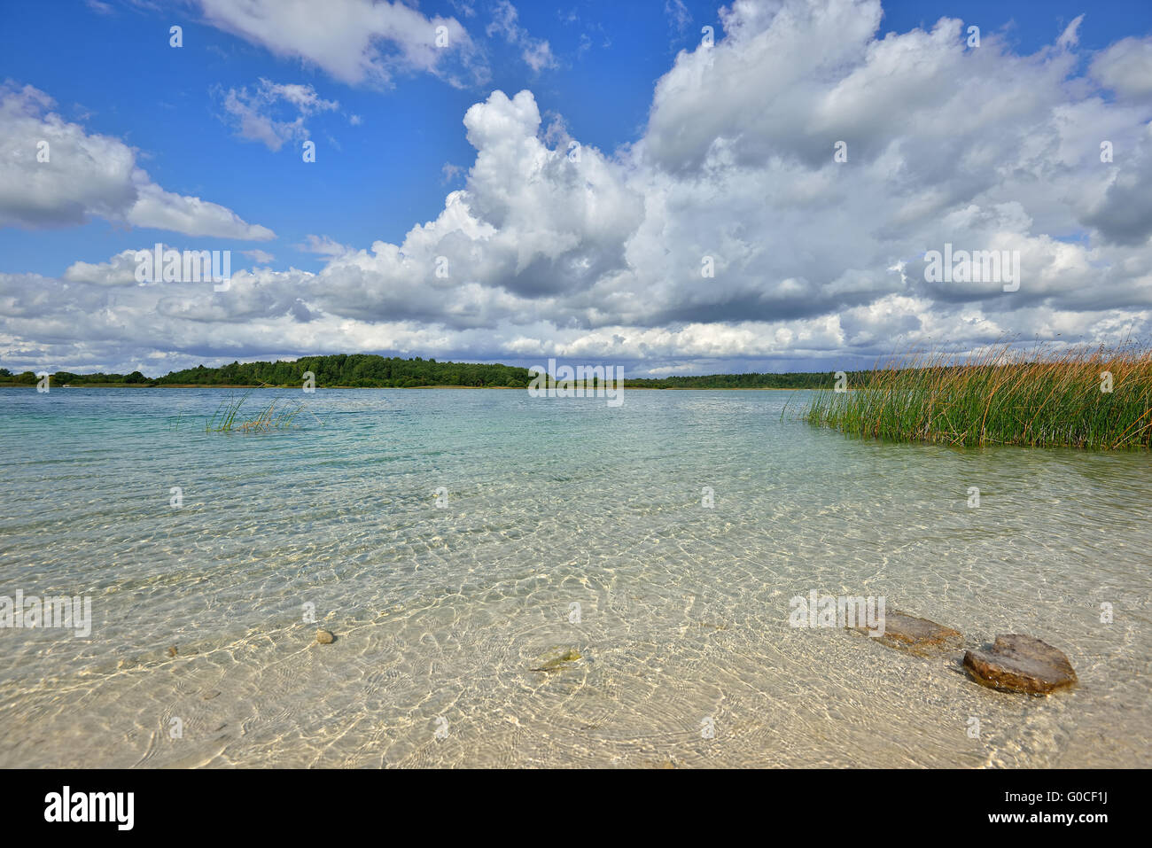 Landscape with a lake with transparent clay bottom near St. Petersburg ...