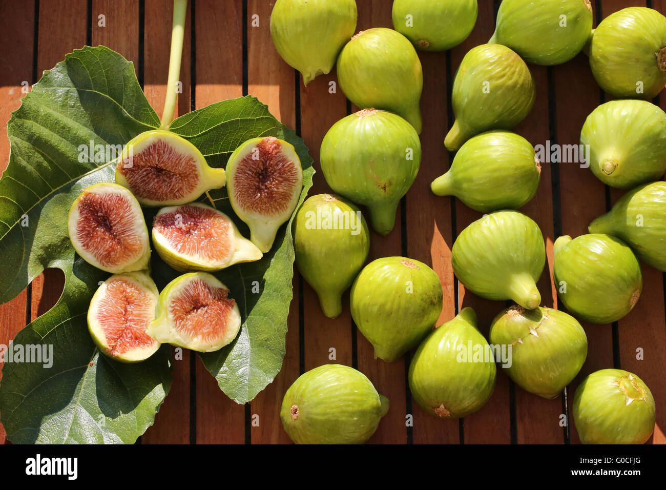 Feigenblatt hi-res stock photography and images - Alamy