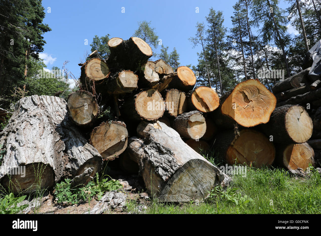 Pile of wood holzstapel hi-res stock photography and images - Alamy