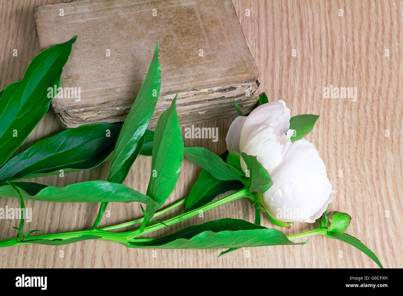 Peo white hi-res stock photography and images - Alamy