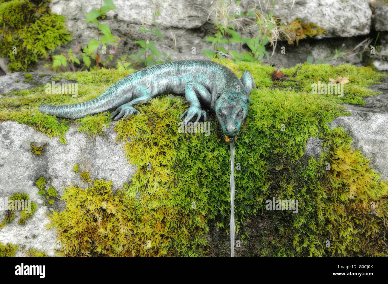 Soft water fountain from the Lizard Stock Photo - Alamy