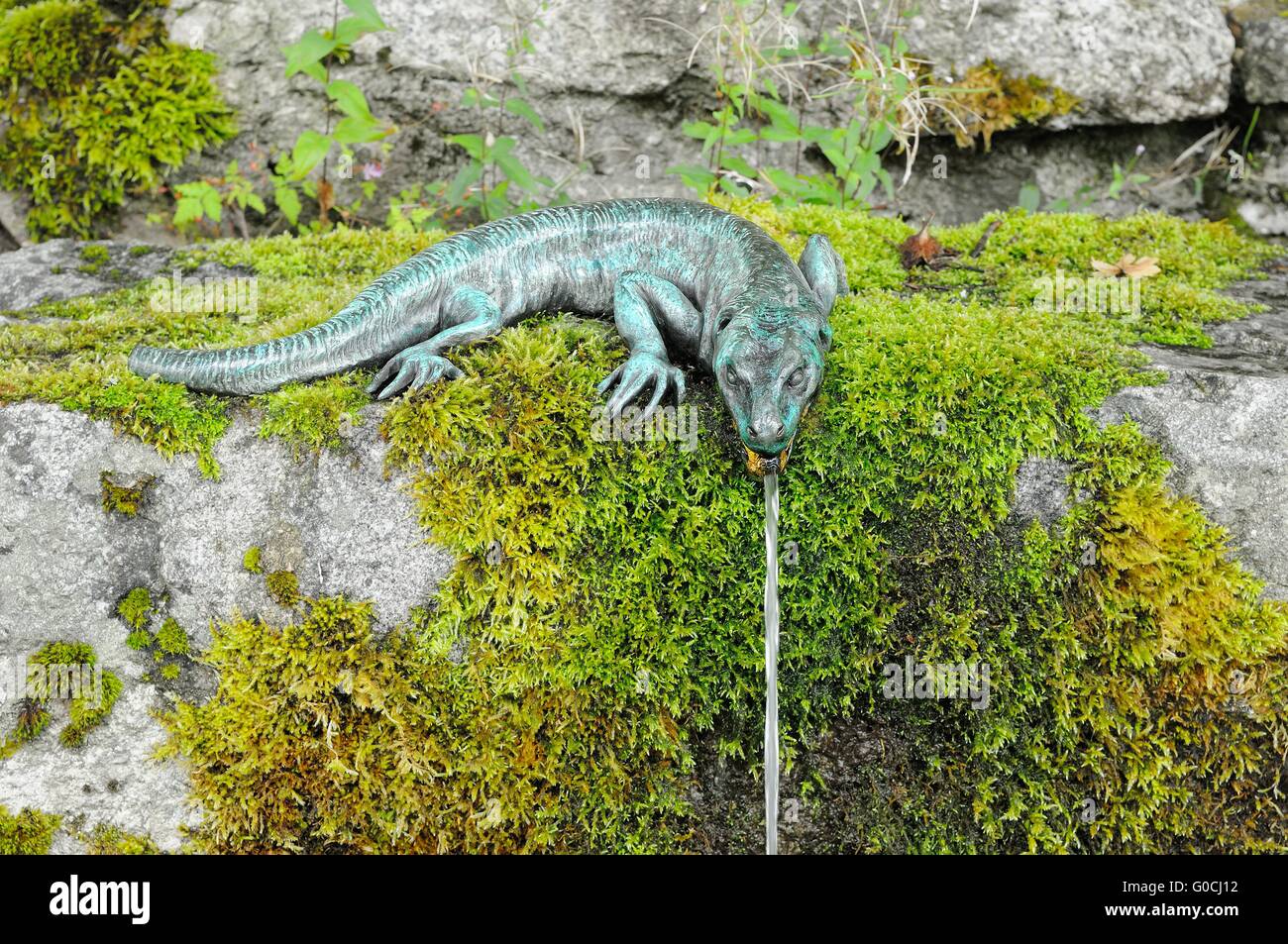 Water fountain from the lizard Stock Photo - Alamy
