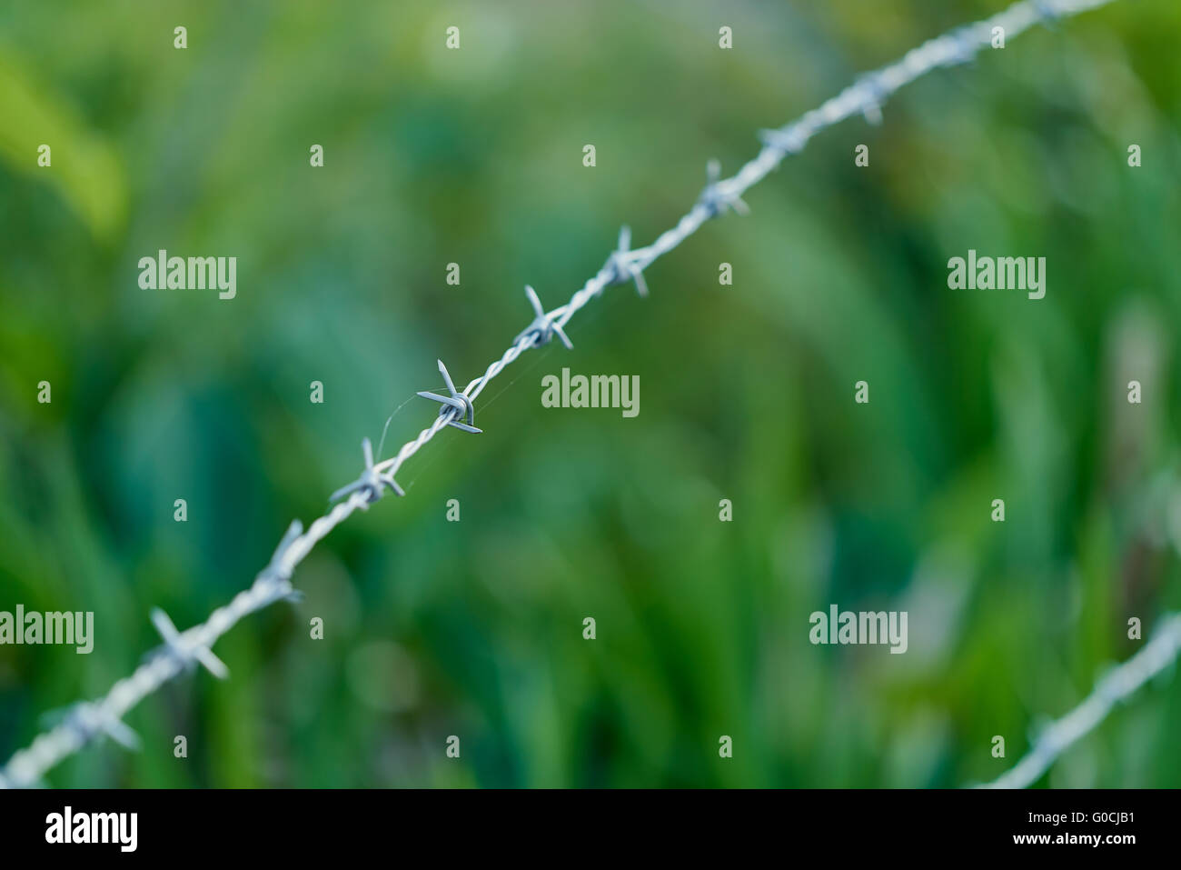 Barbed wire sharp danger security fence hi-res stock photography and ...