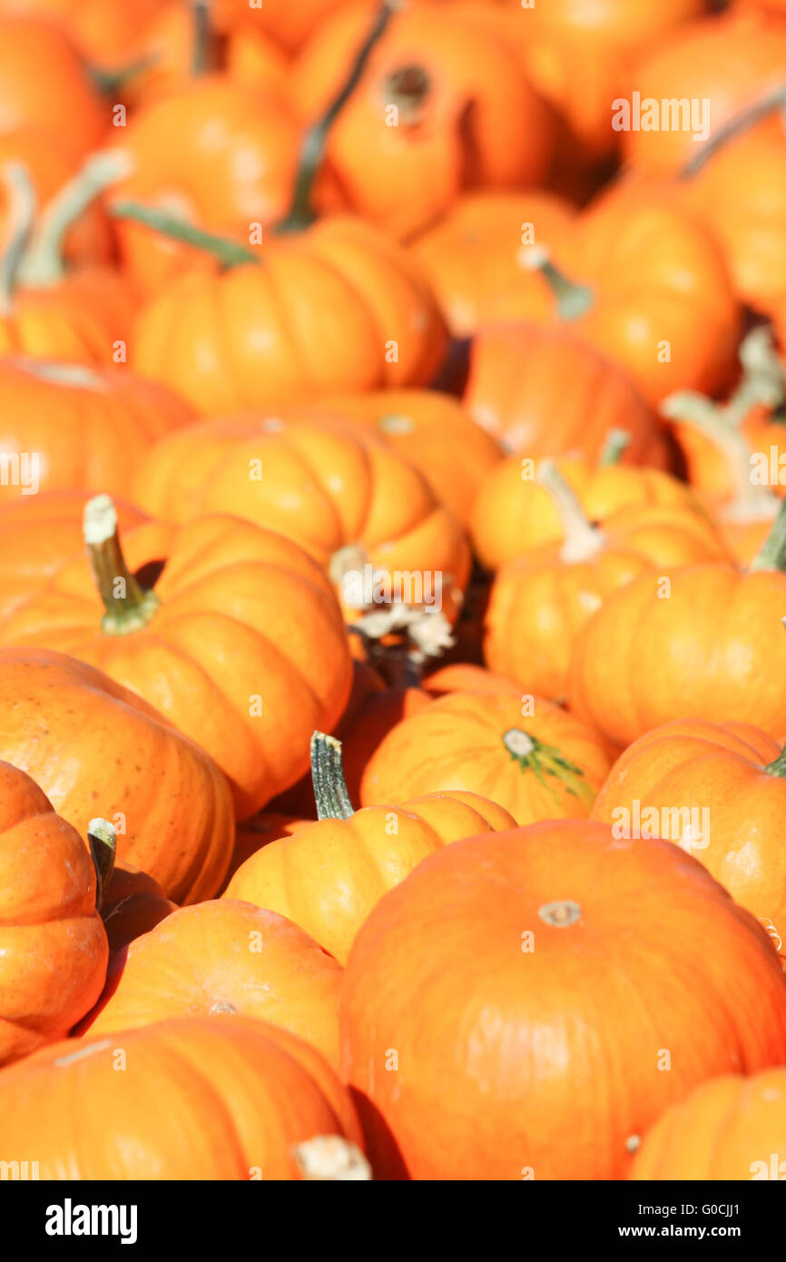 Tiny little mini hi-res stock photography and images - Alamy