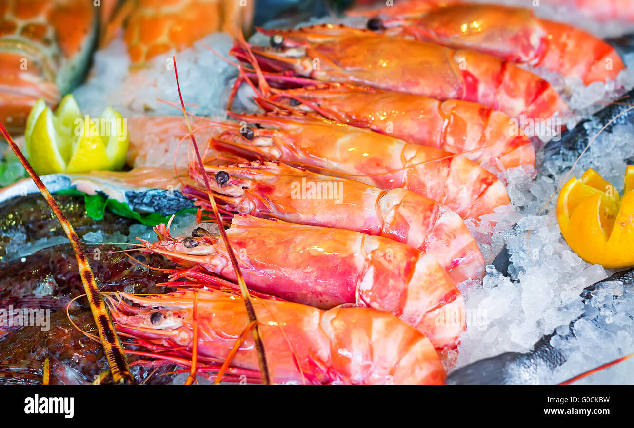 Large Mediterranean prawns and other seafood Stock Photo - Alamy