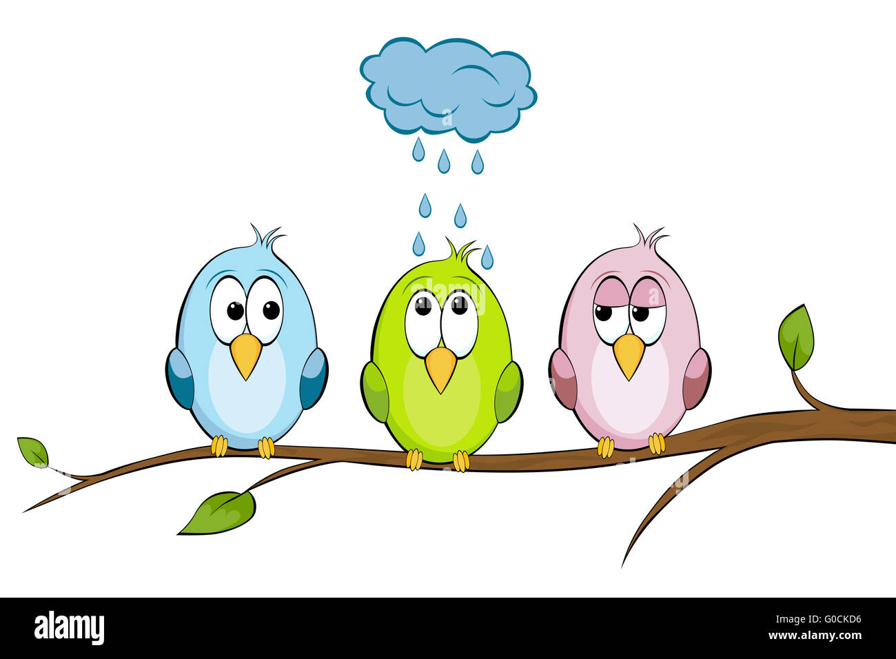 three funny birds Stock Photo - Alamy