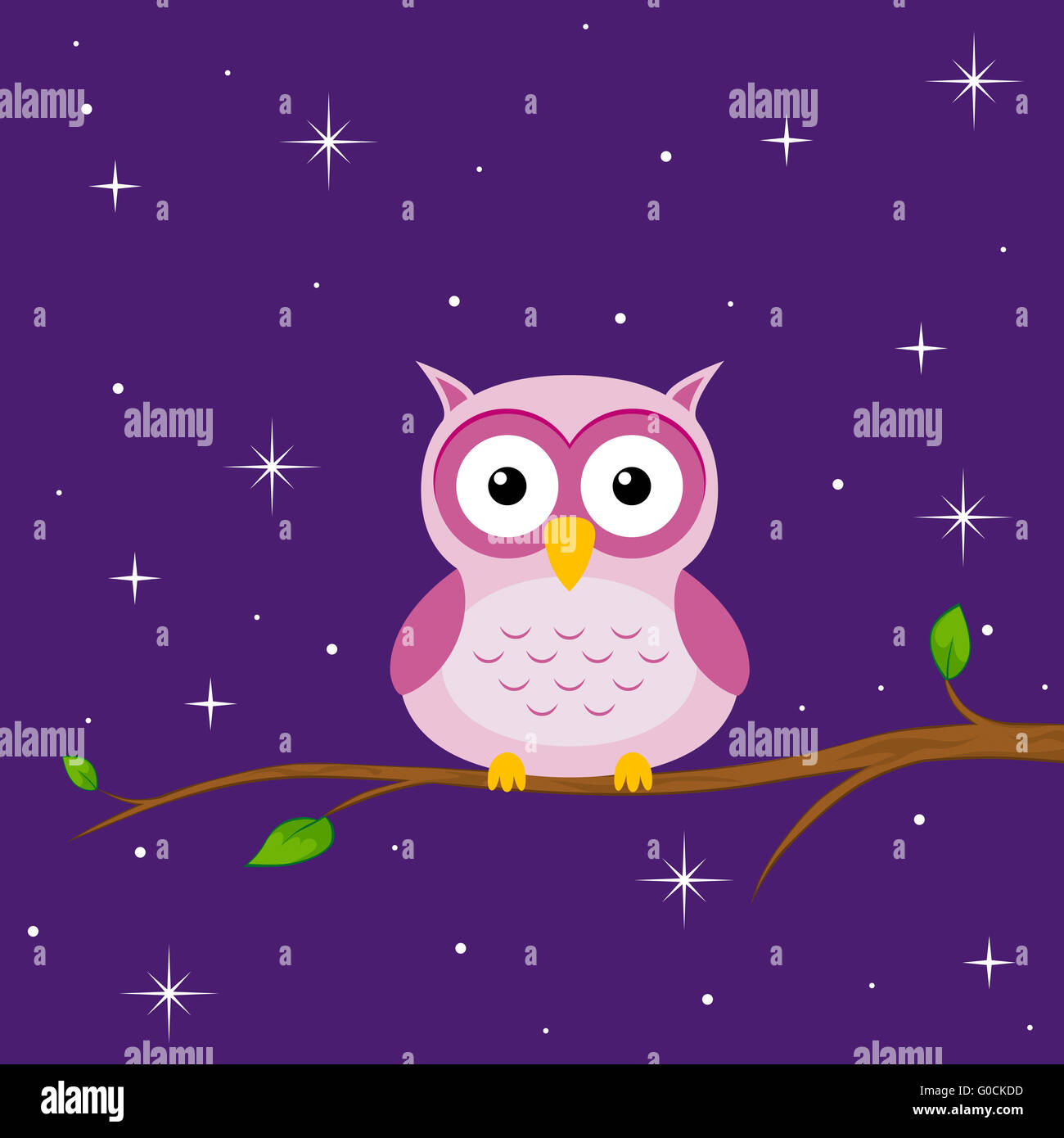 Owl at Night Stock Photo - Alamy