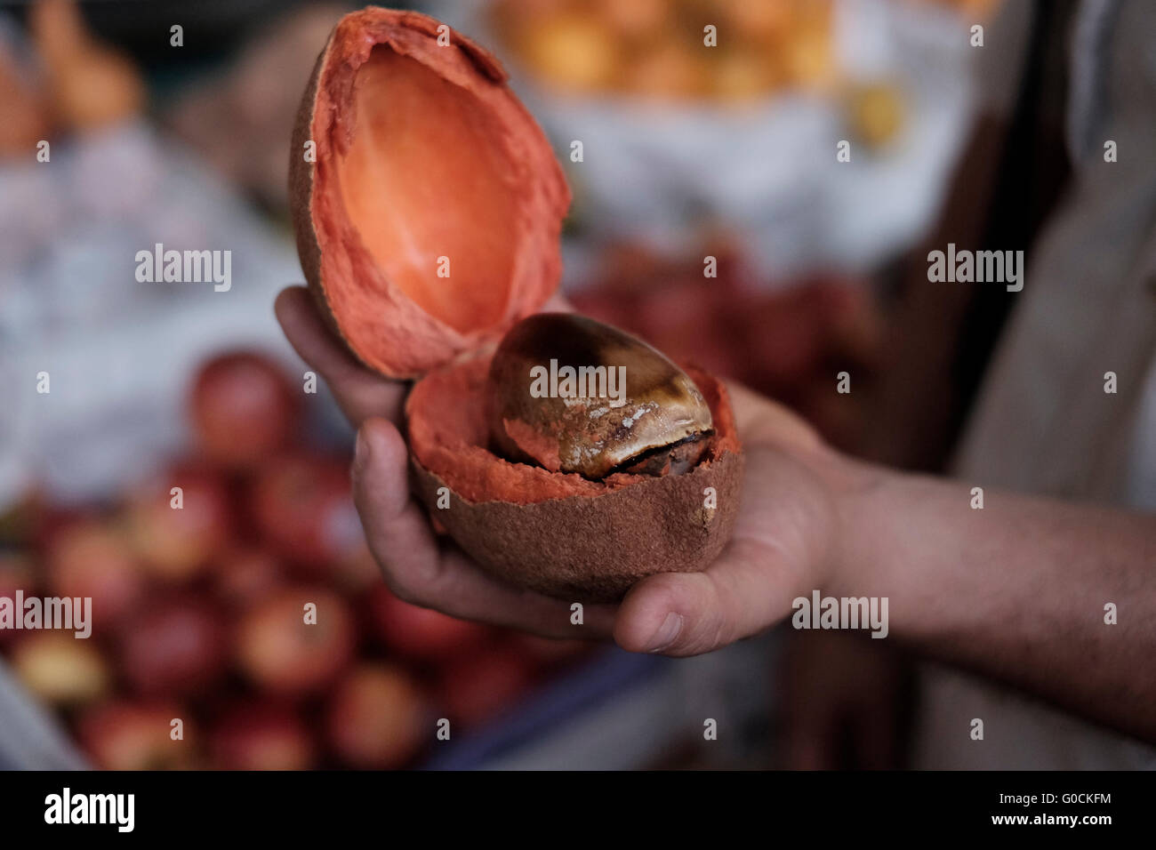 An open Pouteria sapota, mamey sapote tropical fruit native to Mexico ...