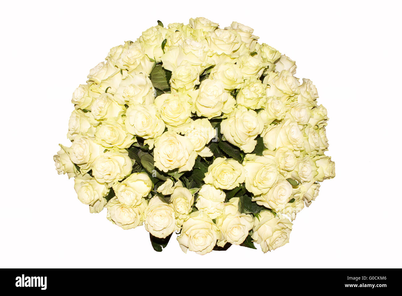 Pink roses flowers pattern Cut Out Stock Images & Pictures - Alamy