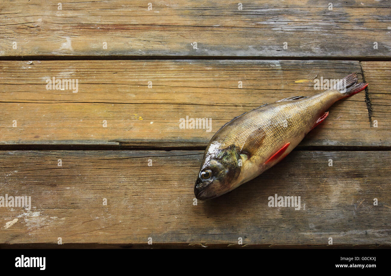 Wet wood perch hi-res stock photography and images - Alamy