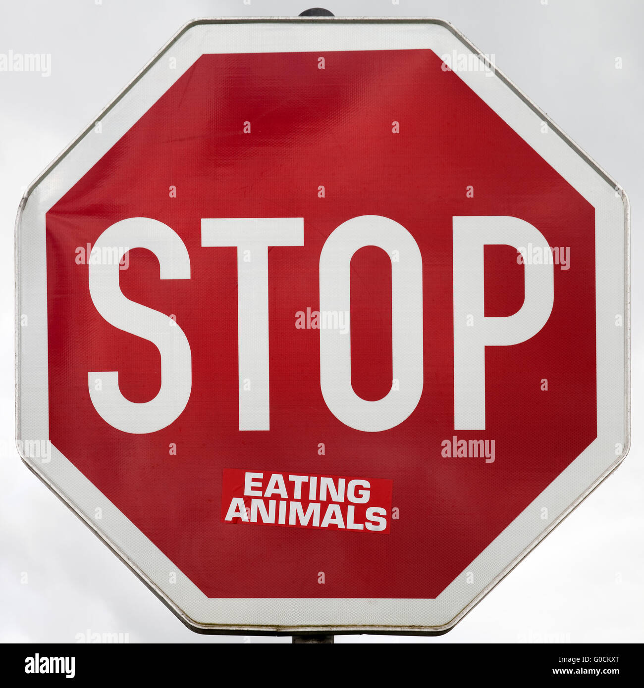 Traffic sign stop eating animals Stock Photo - Alamy