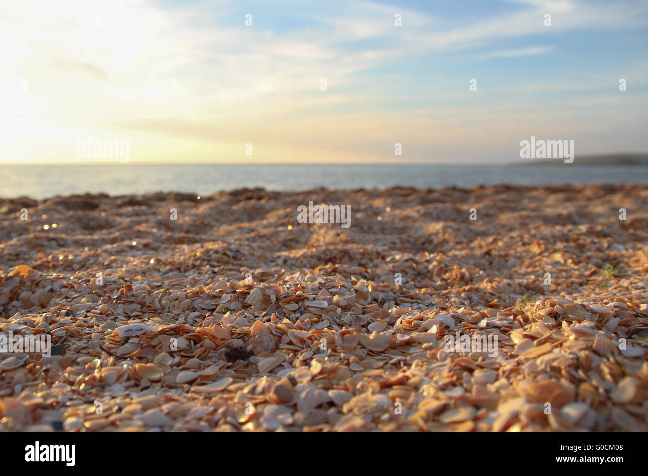 Shelly beach tourism background Stock Photo - Alamy