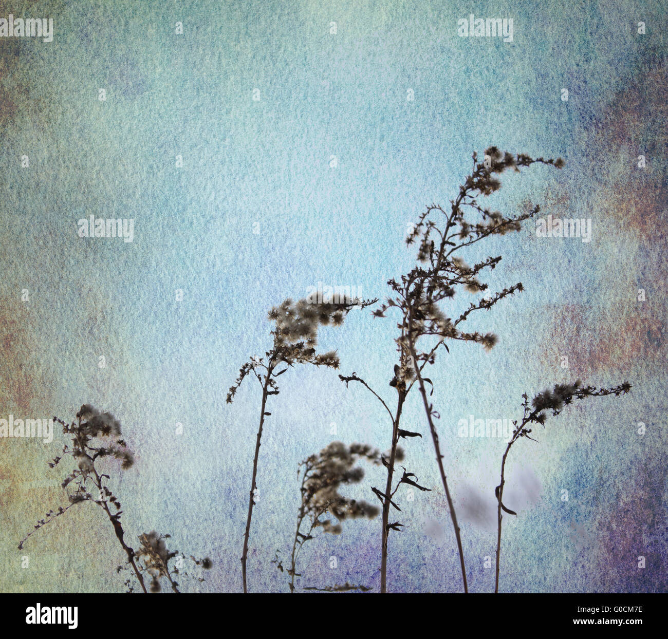 watercolor with grass texture Stock Photo - Alamy