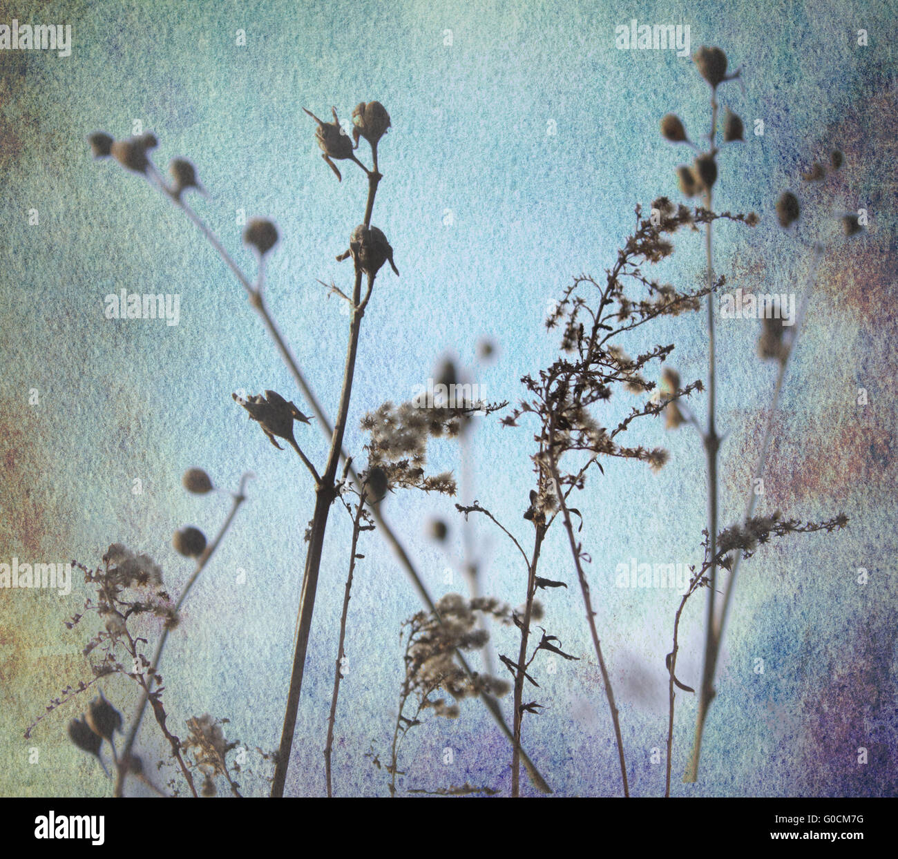 watercolor with grass texture Stock Photo - Alamy