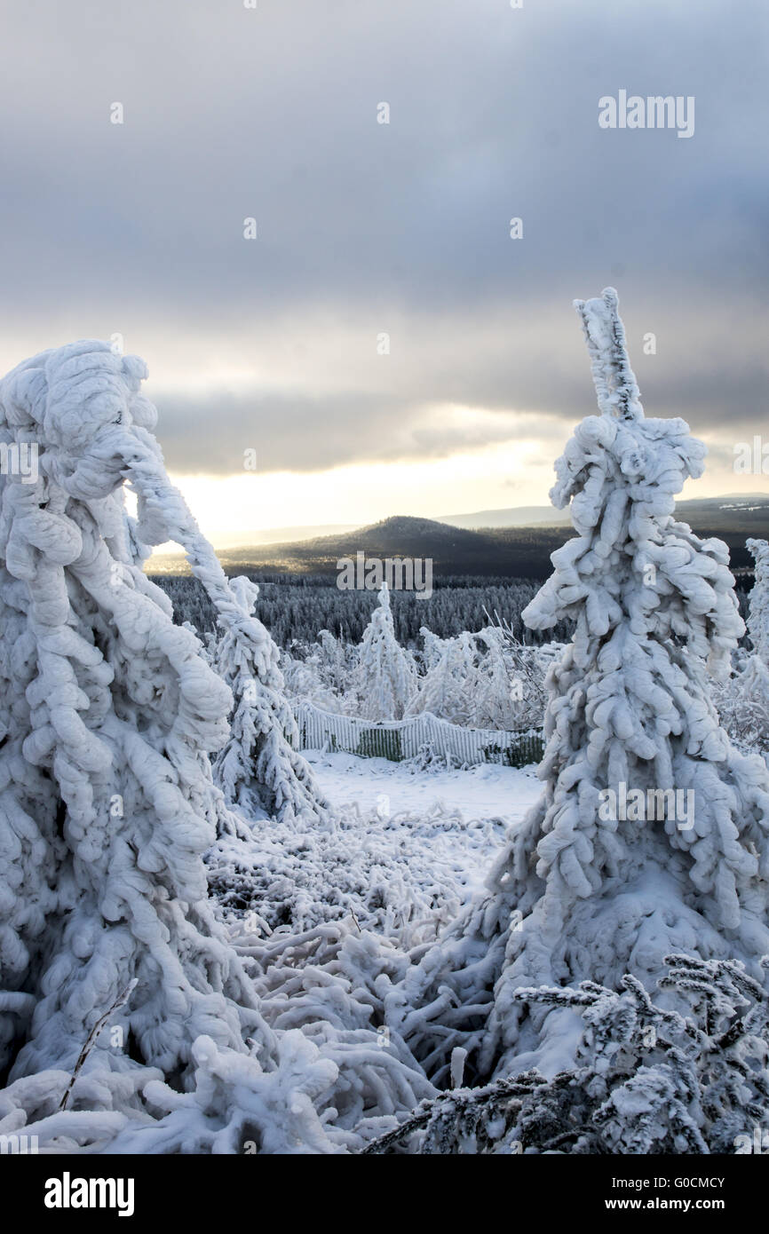 onset of winter Stock Photo - Alamy