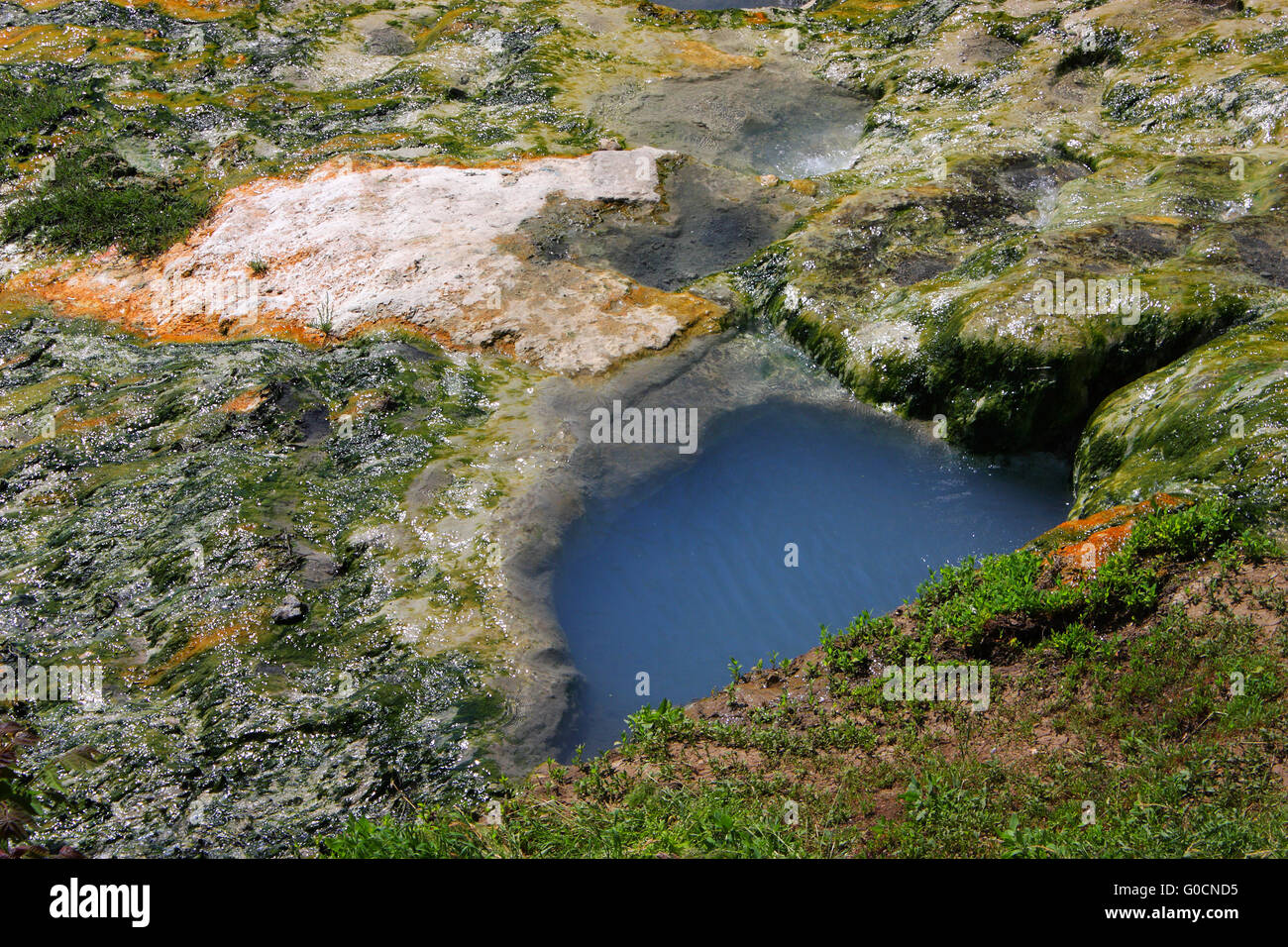 Source of mineral water Stock Photo - Alamy