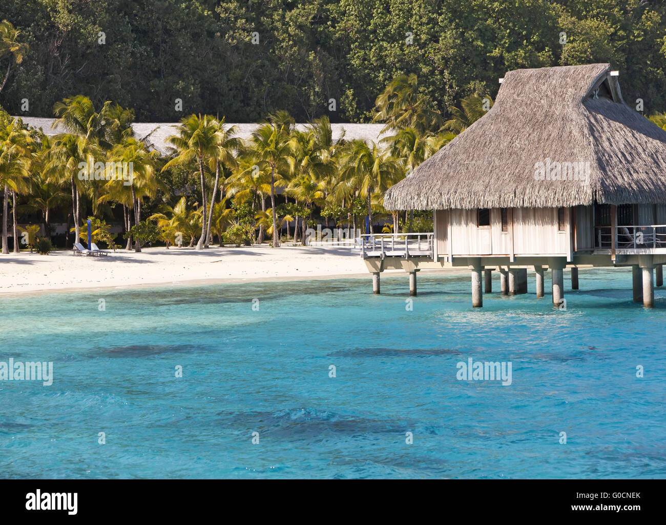 seacoast with palm trees and small houses on water Stock Photo - Alamy