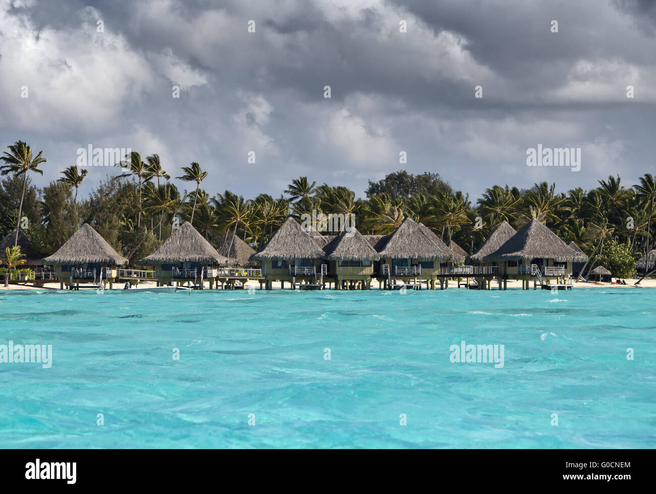 seacoast with palm trees and small houses on water Stock Photo - Alamy