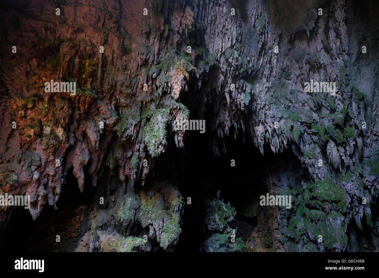 Karst formations in a cave at the Bombil Pek Caves area in Chisec a ...