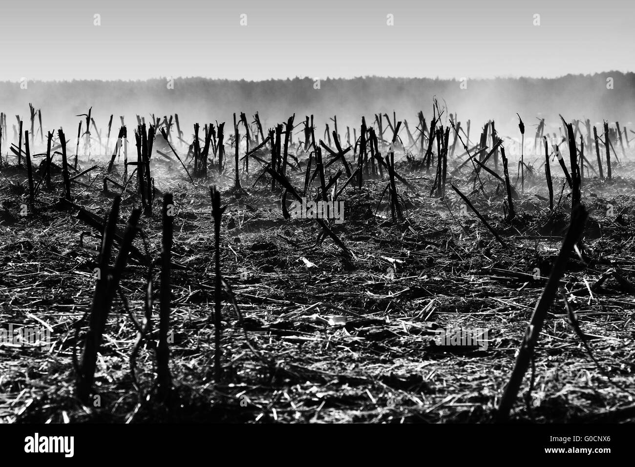 Dark land hi-res stock photography and images - Alamy