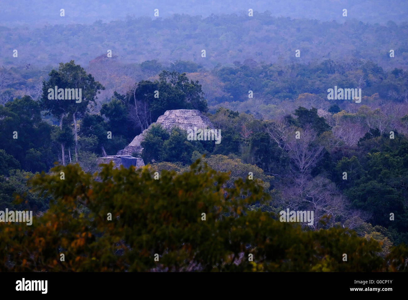 View of an ancient Mayan stepped pyramid and the jungle in Yaxha a ...