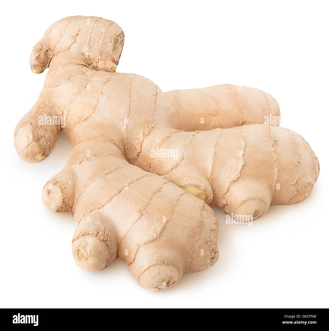 Isolated ginger. One ginger root isolated on white background with ...