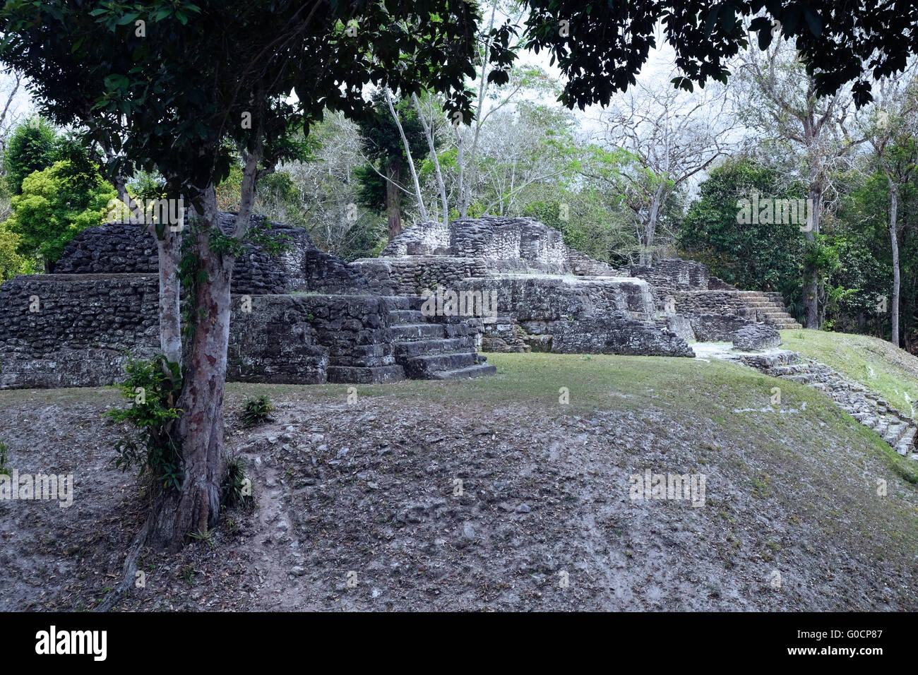 An ancient Mayan ruin in Uaxactun an ancient sacred place of the Maya ...